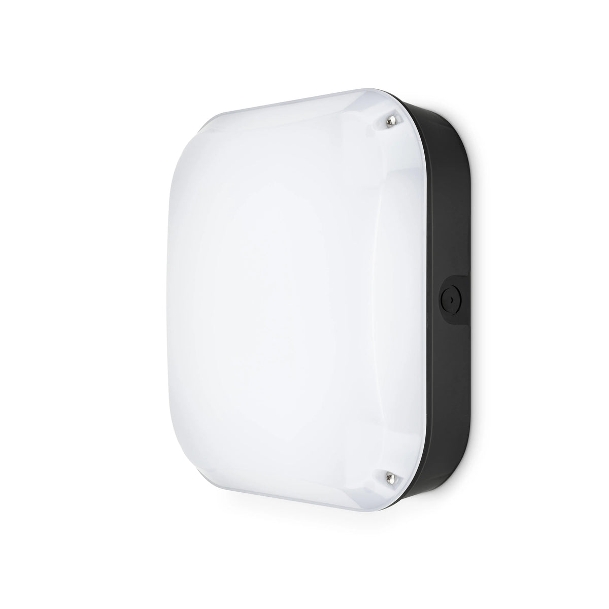 RadiaLED RapidPro LED Bulkheads | High-Performance Lighting – UK Light ...