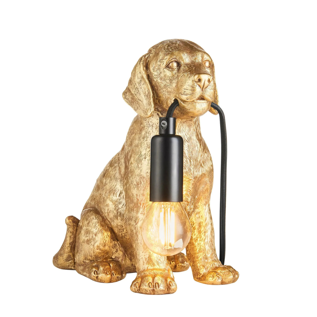 Endon lighting Labrador Puppy range 107364 - 1 lamp Table Lamps at ...